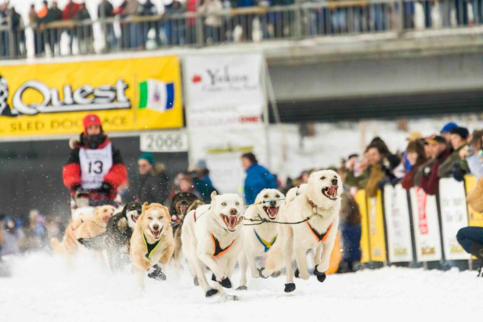 Moriah Costa - Hidden Compass