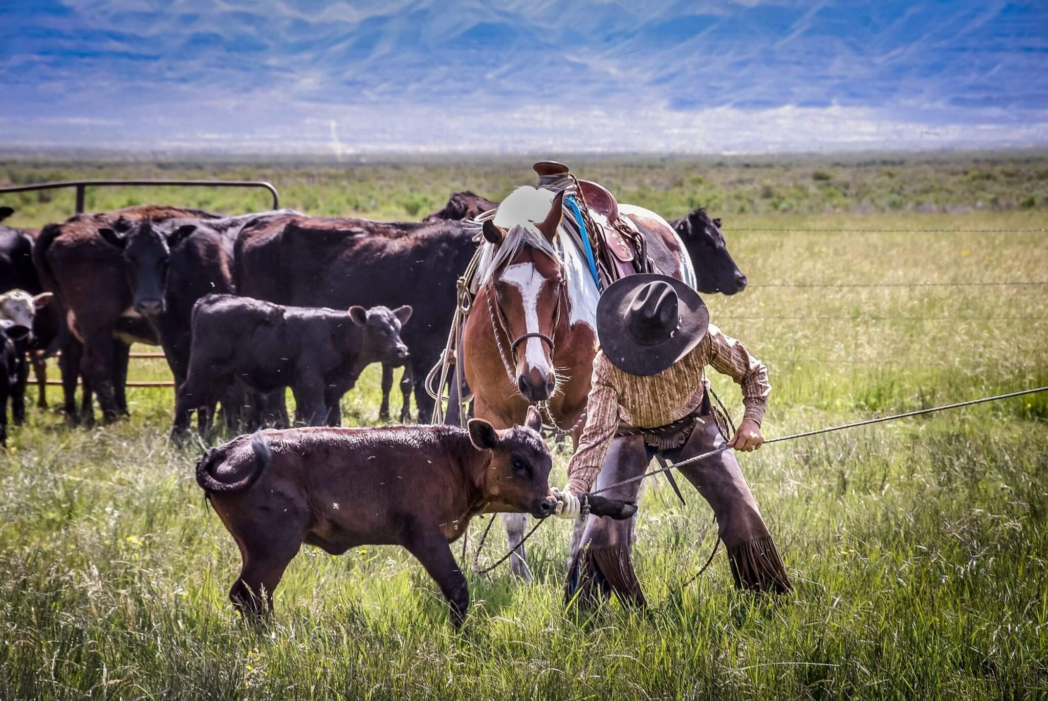 The Great Basin Buckaroos - Hidden Compass