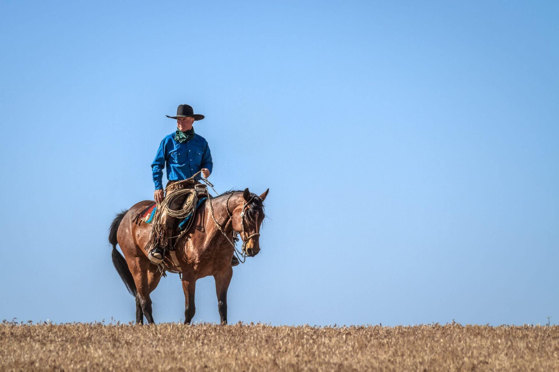 The Great Basin Buckaroos - Hidden Compass