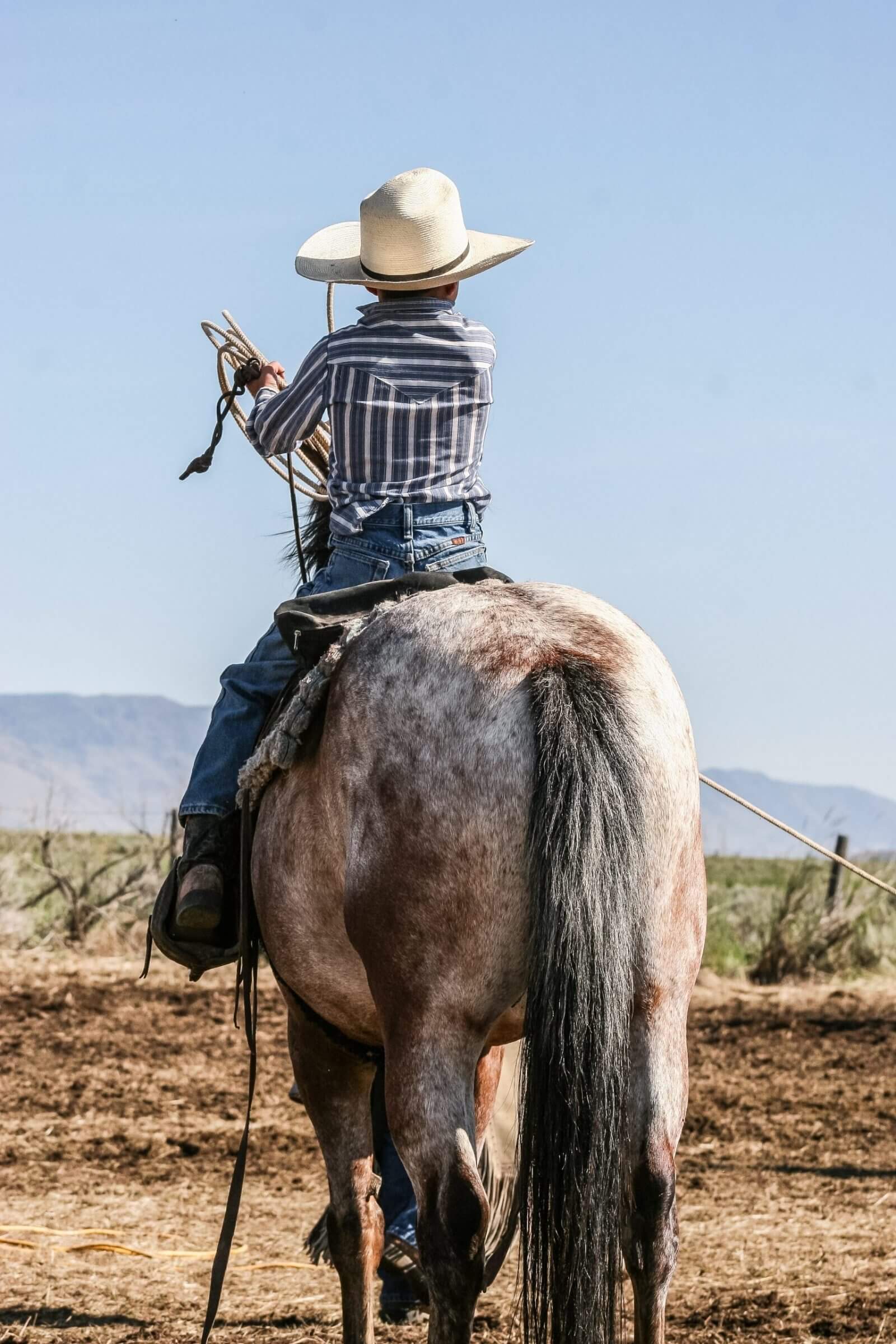 The Great Basin Buckaroos - Hidden Compass