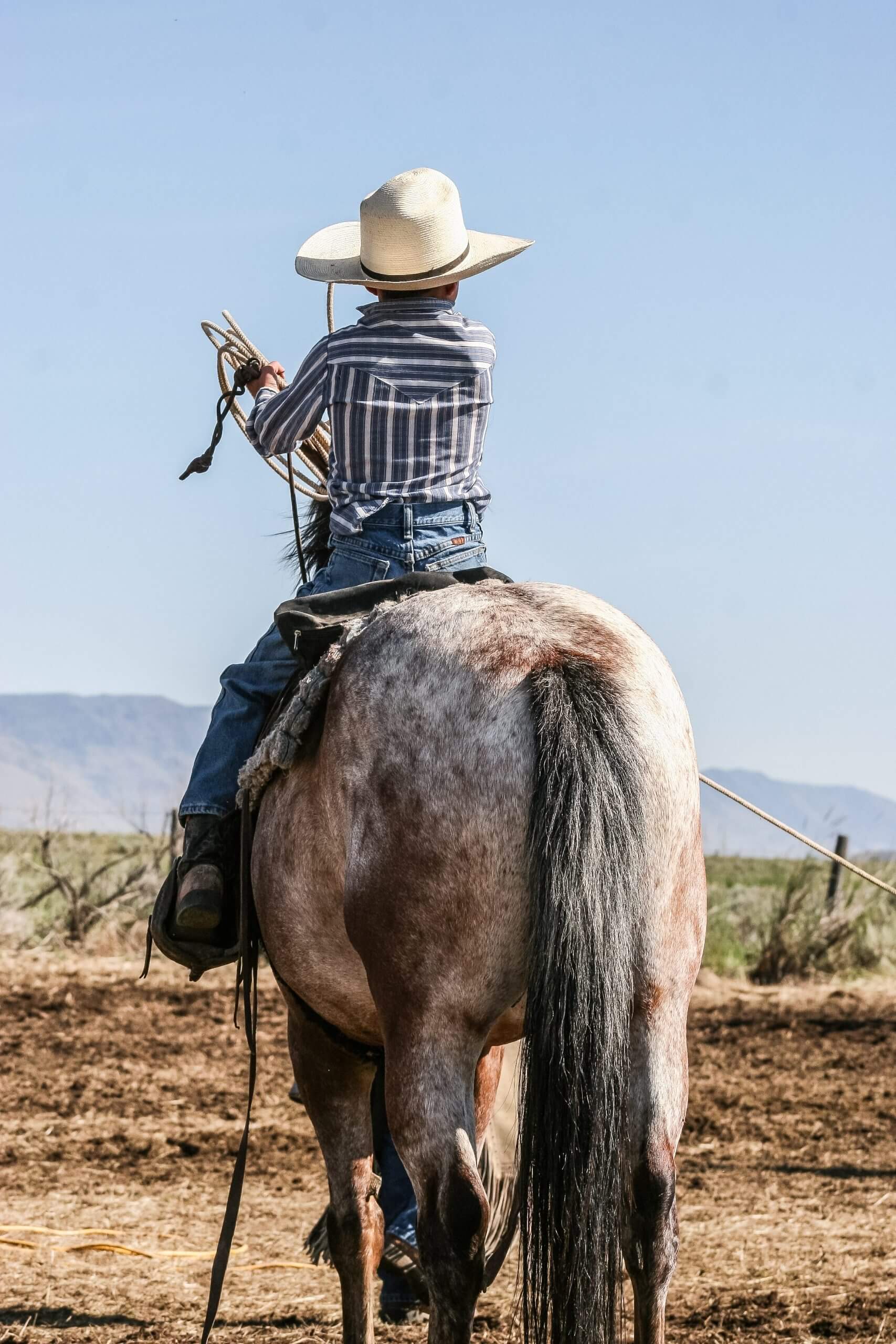 The Great Basin Buckaroos - Hidden Compass