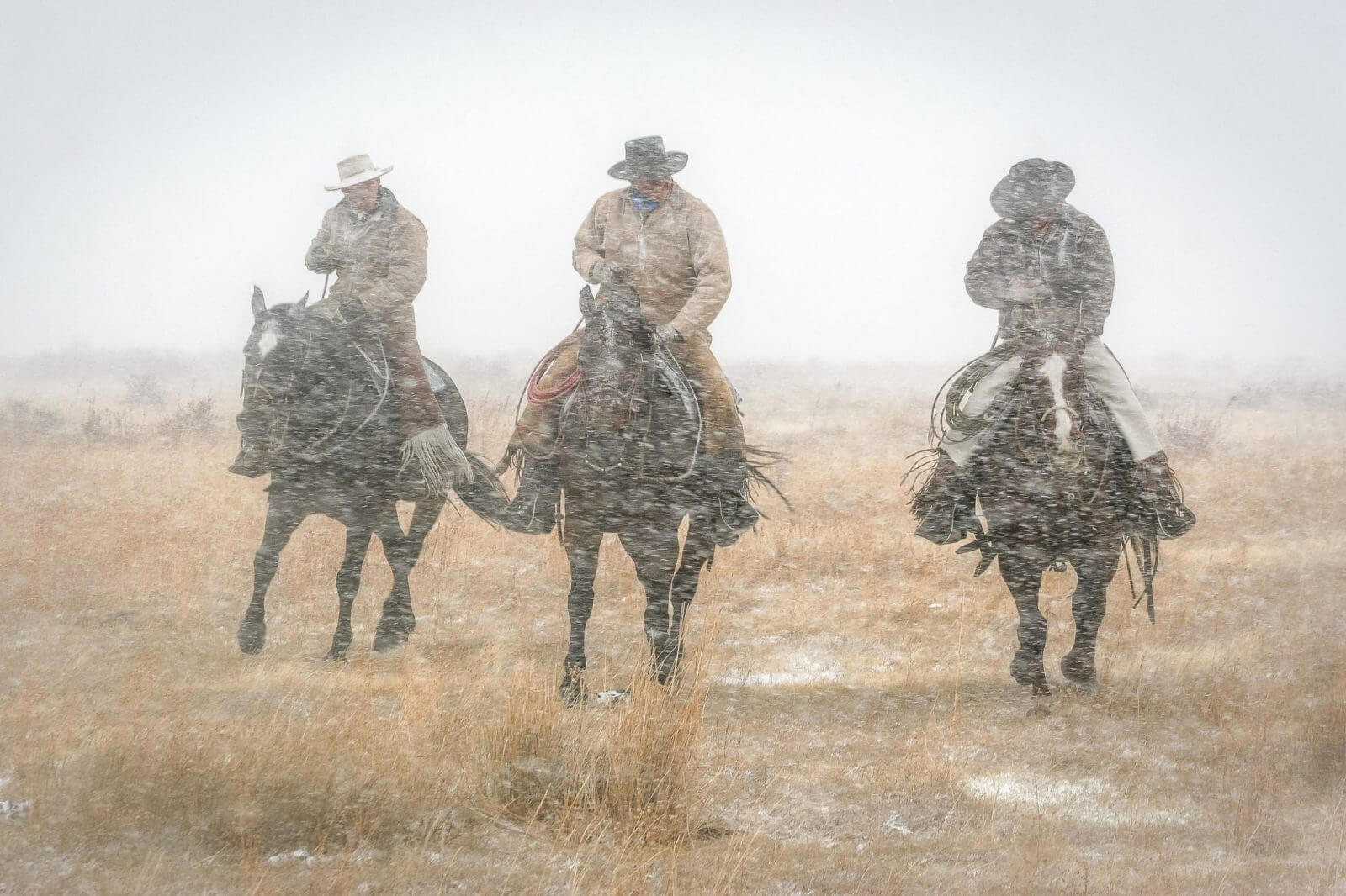 The Great Basin Buckaroos - Hidden Compass