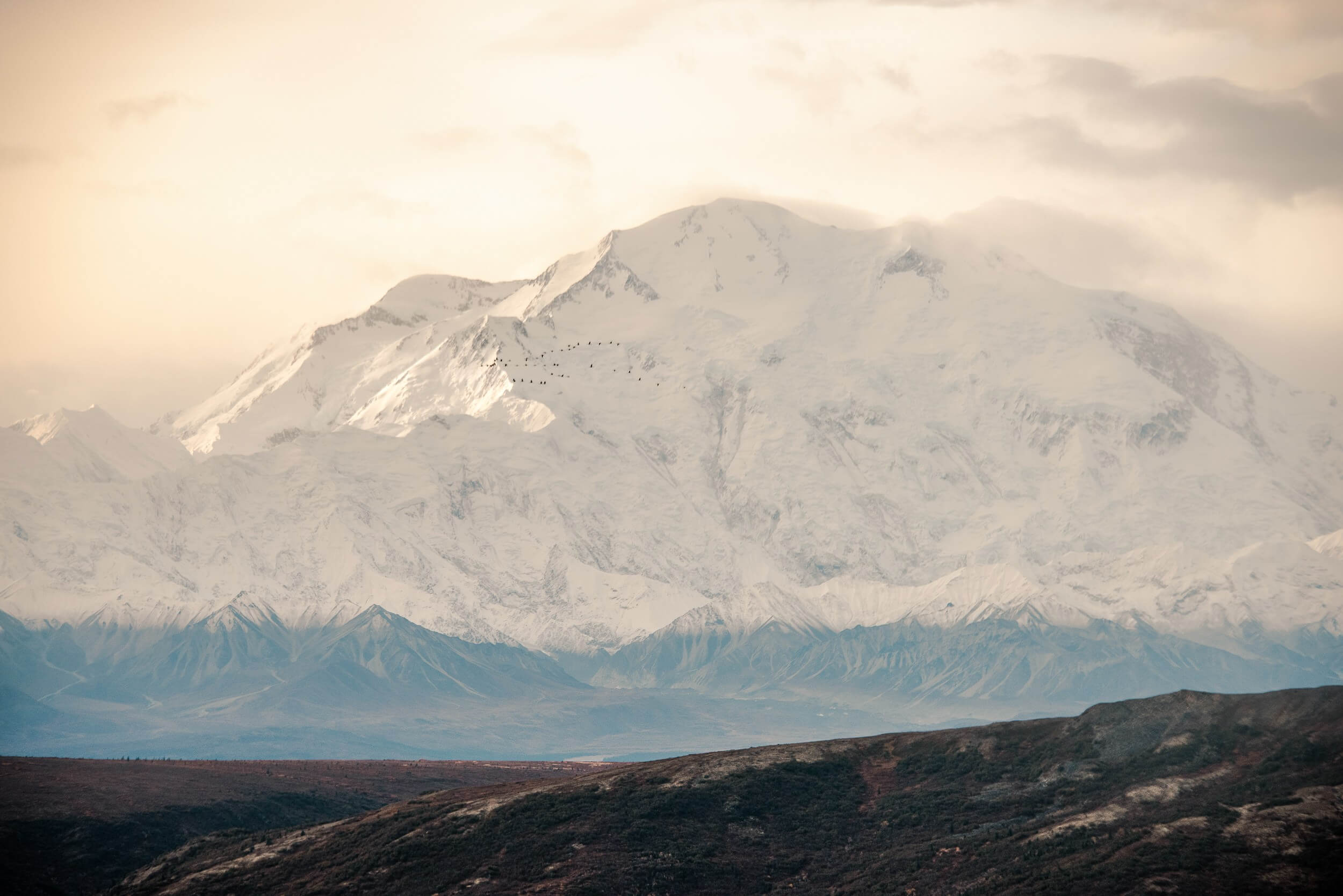 The First and Final Days of Denali - Hidden Compass