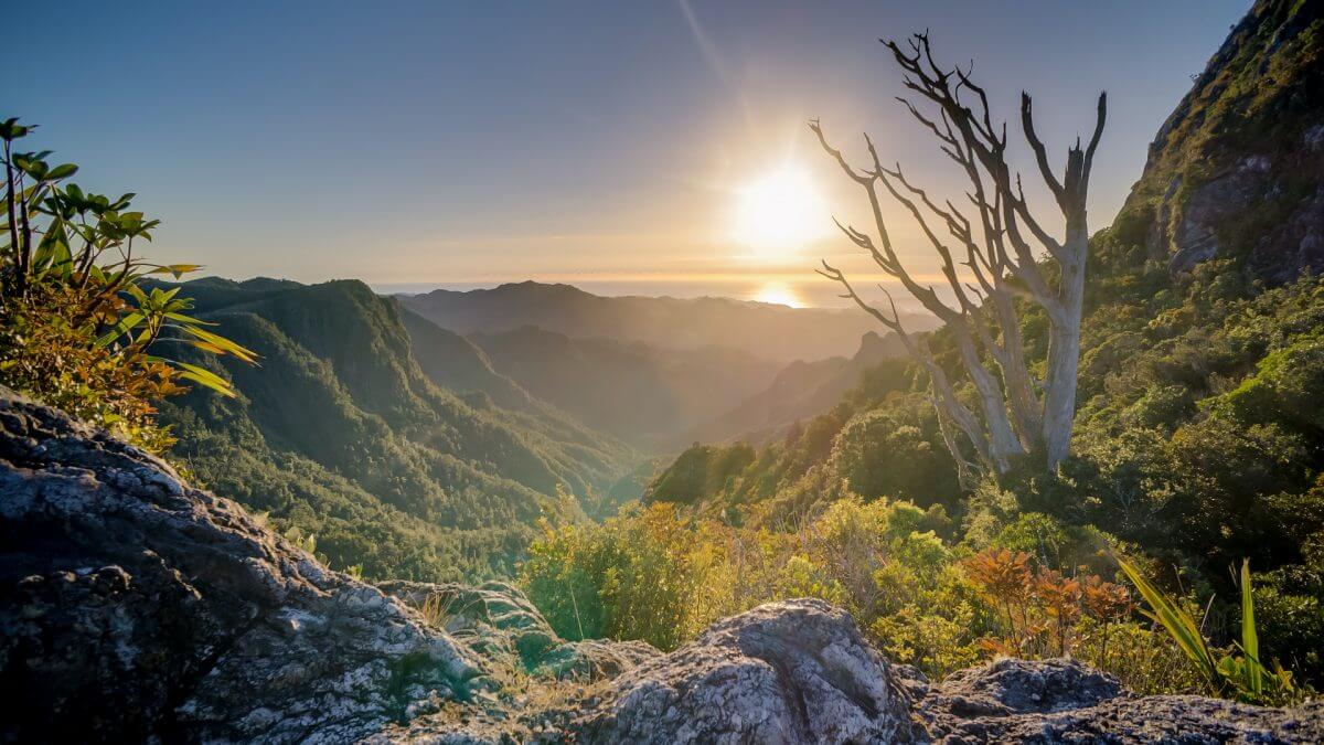 Home - Hidden Compass