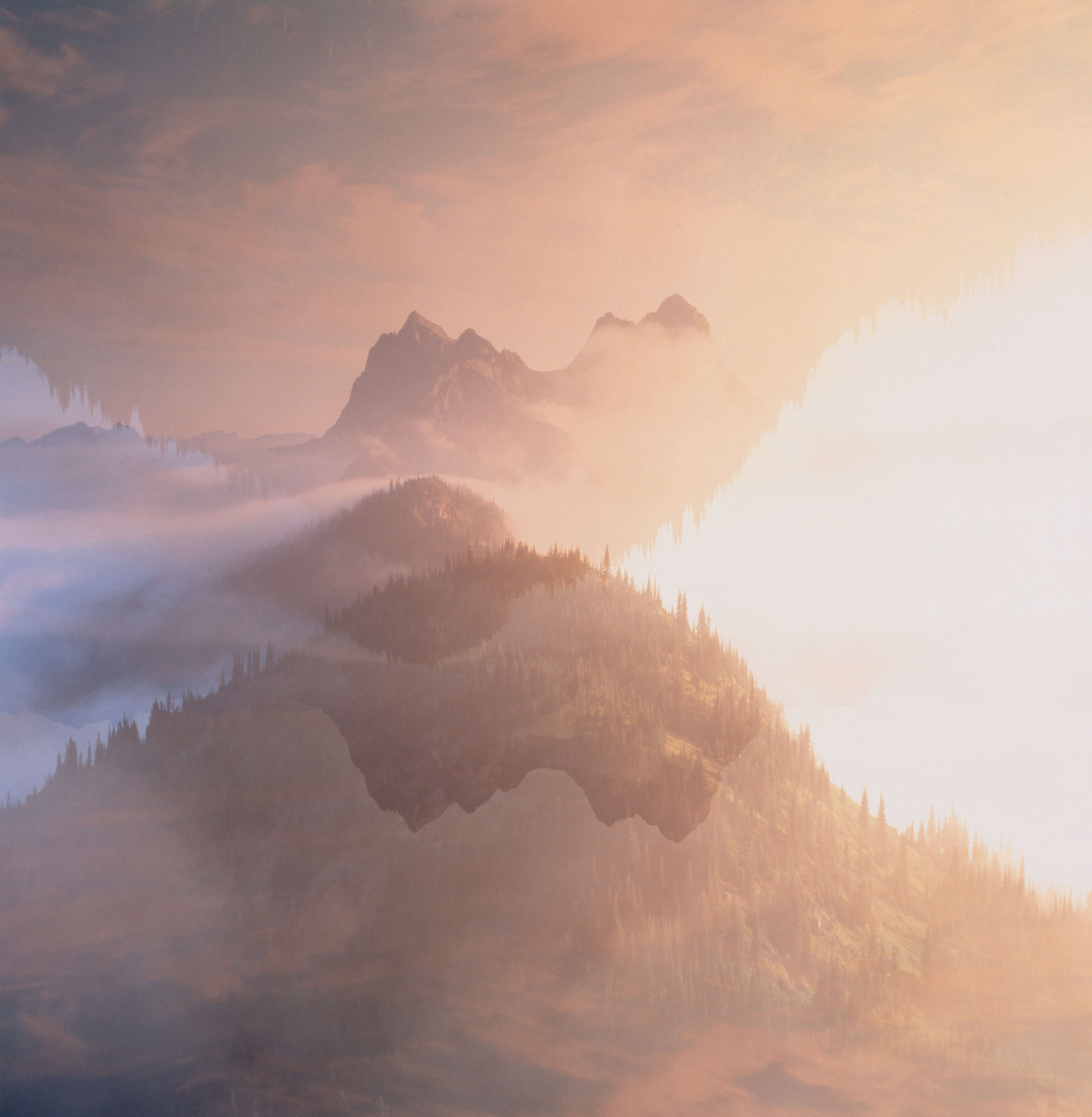 Home - Hidden Compass