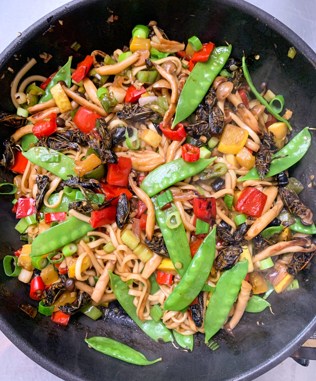 Insect Rebellion - Hidden Compass