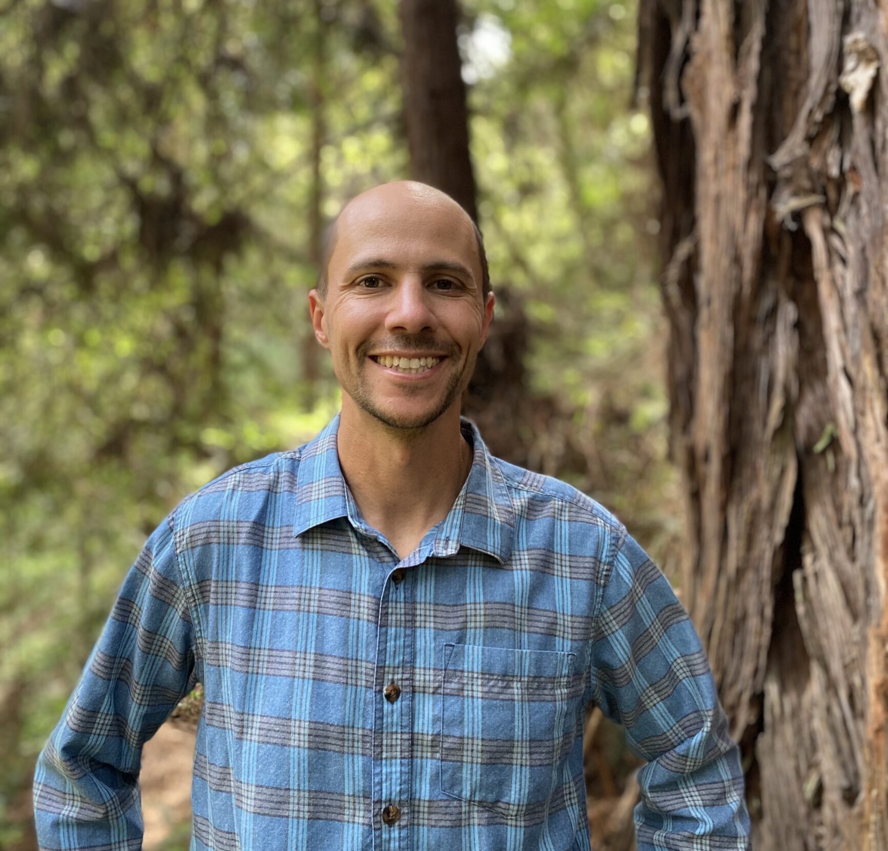 Restoring Redwoods: A Forester on the Roles Humans Should Play in ...