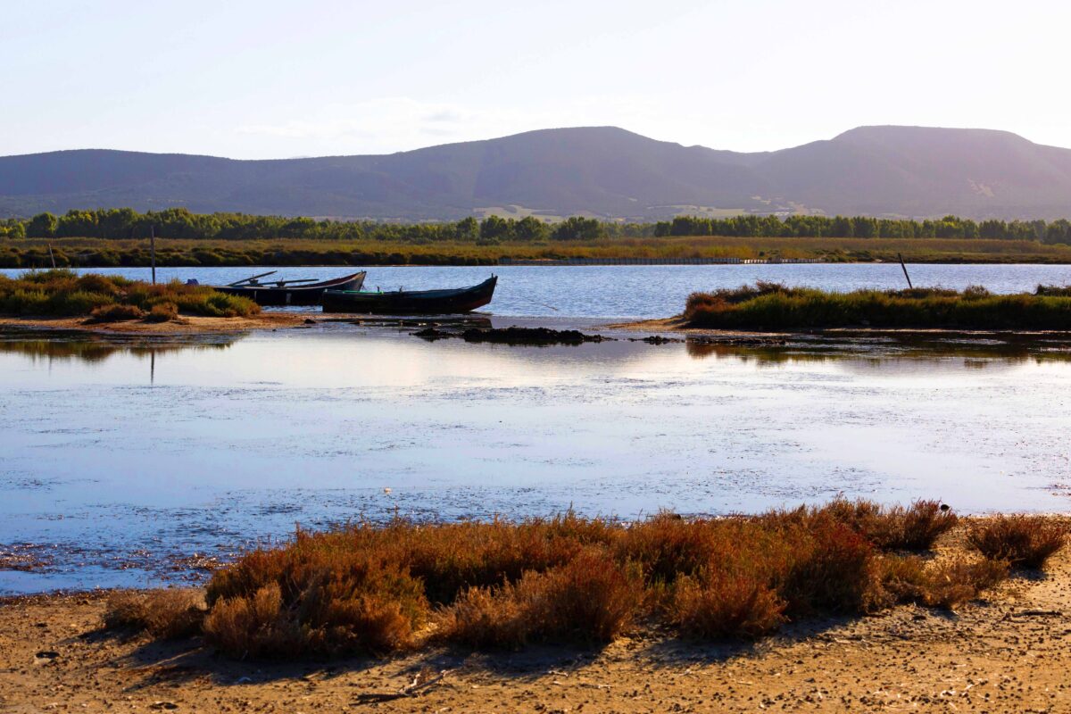 Preserving an Ancient Thread - Hidden Compass