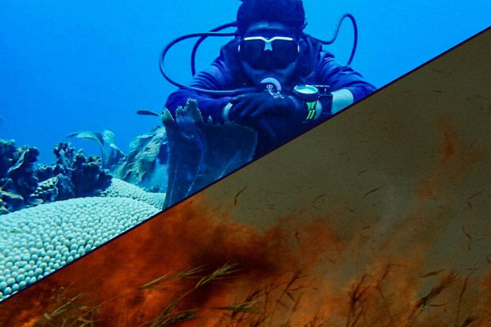 Home - Hidden Compass