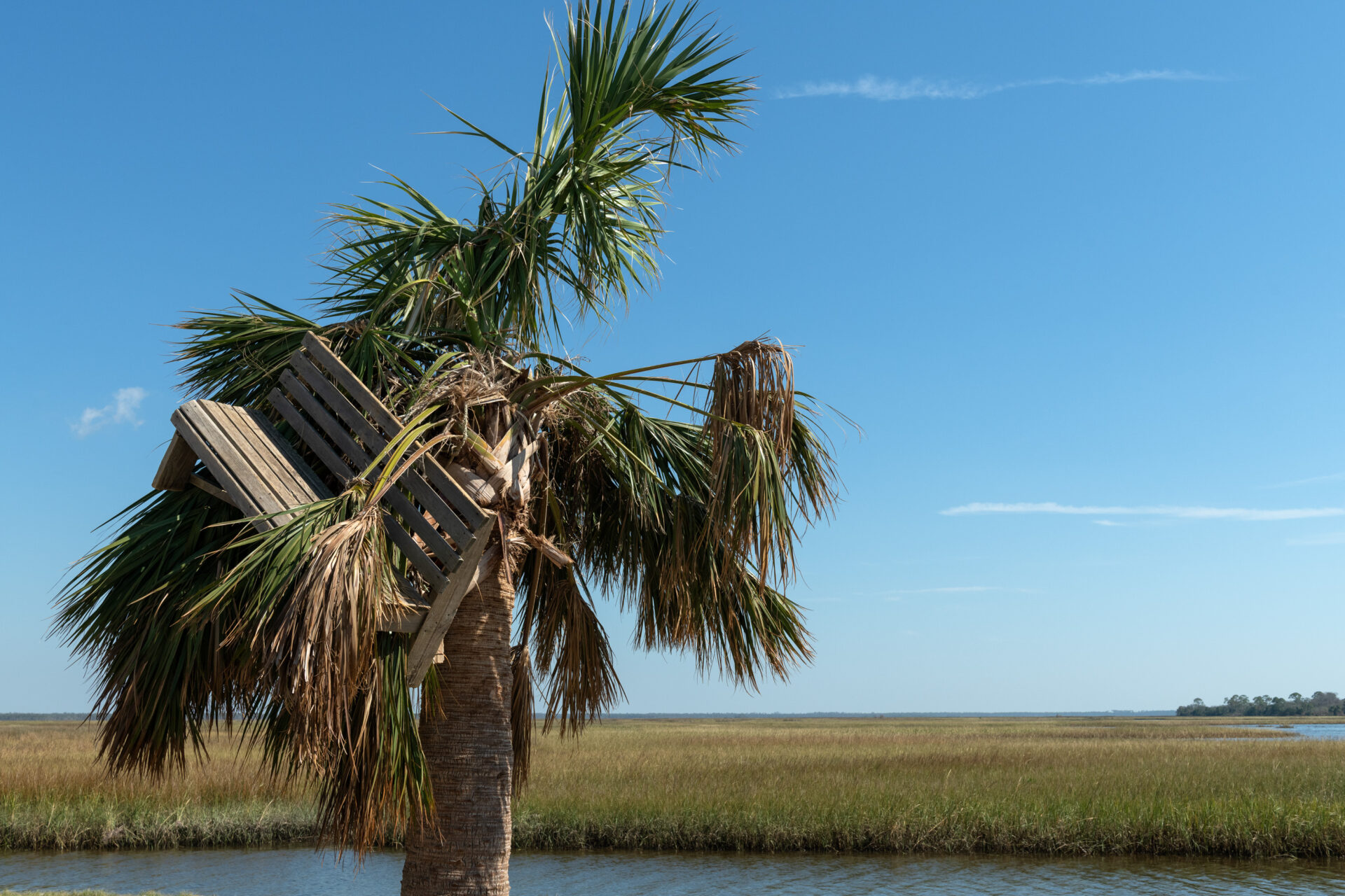 Do Not Destroy - Hidden Compass